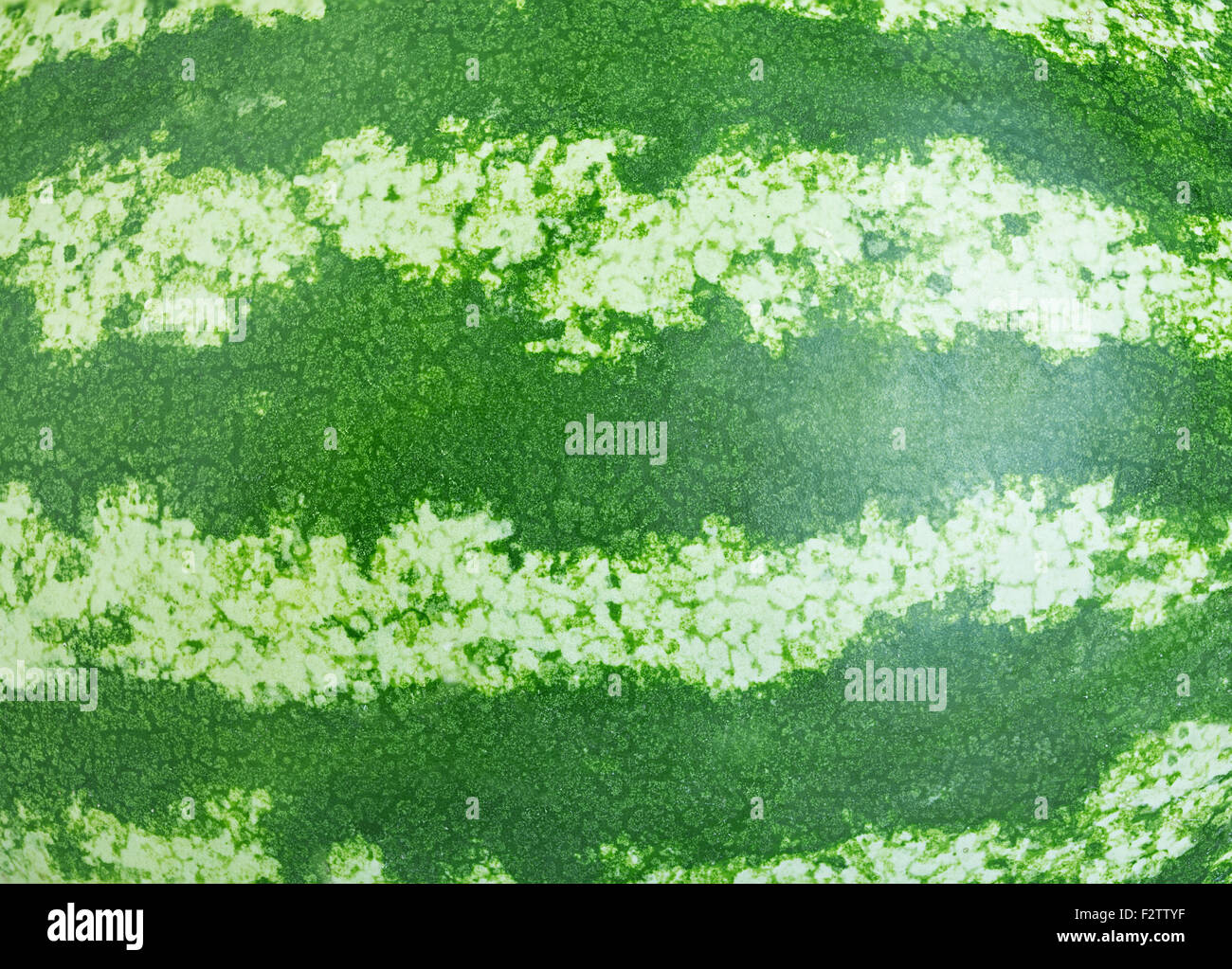 watermelon close-up as a background Stock Photo - Alamy