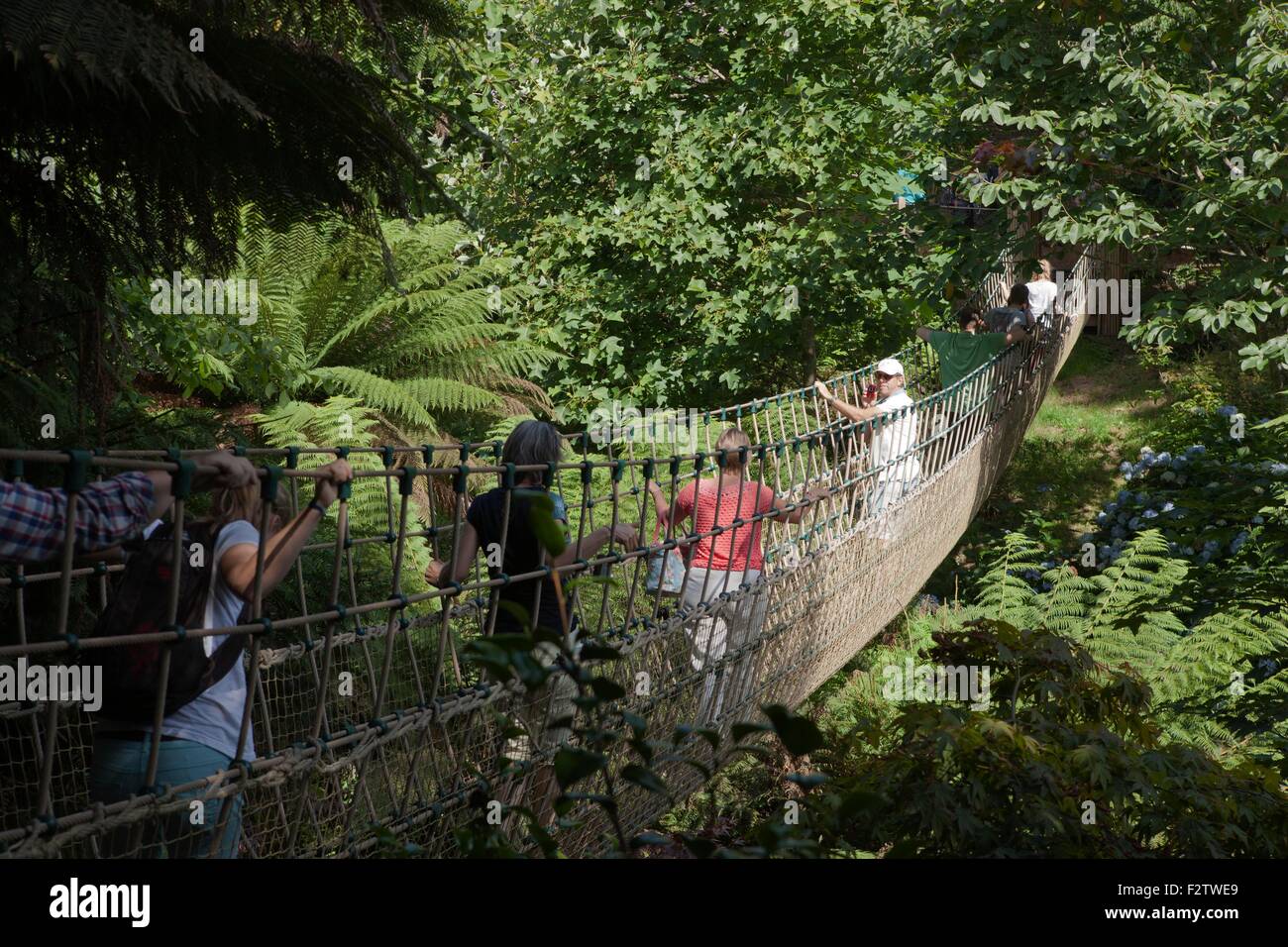 The longest rope bridge in the UK at The Lost Garden's of Heligan near ...