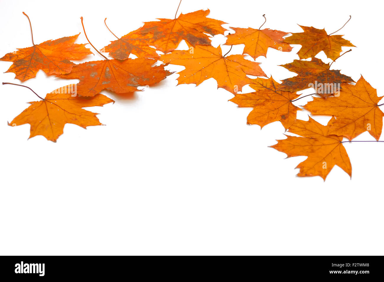 Orange x ray hi-res stock photography and images - Alamy