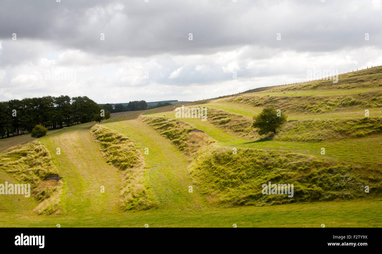 Ancient terraced fields known as strip lynchets cut into a chalk scarp ...
