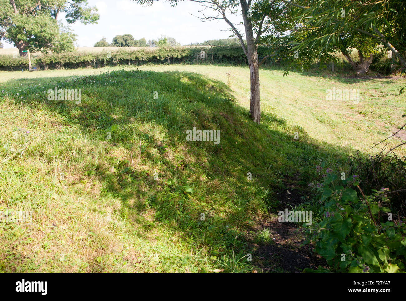 Earth bank remains of Neolithic henge at the Hatfield earthworks site ...