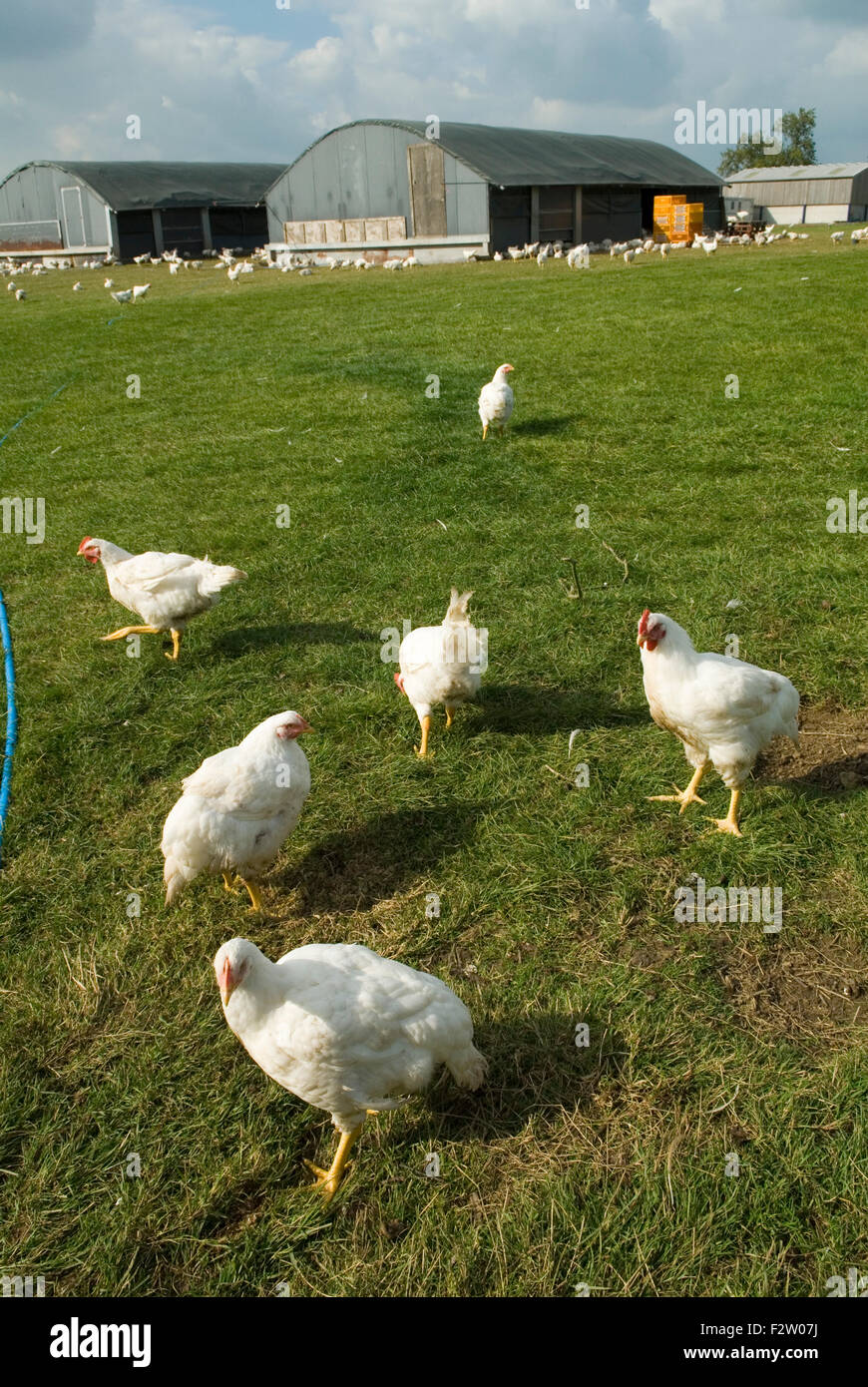 Fosse meadows farm hi-res stock photography and images - Alamy
