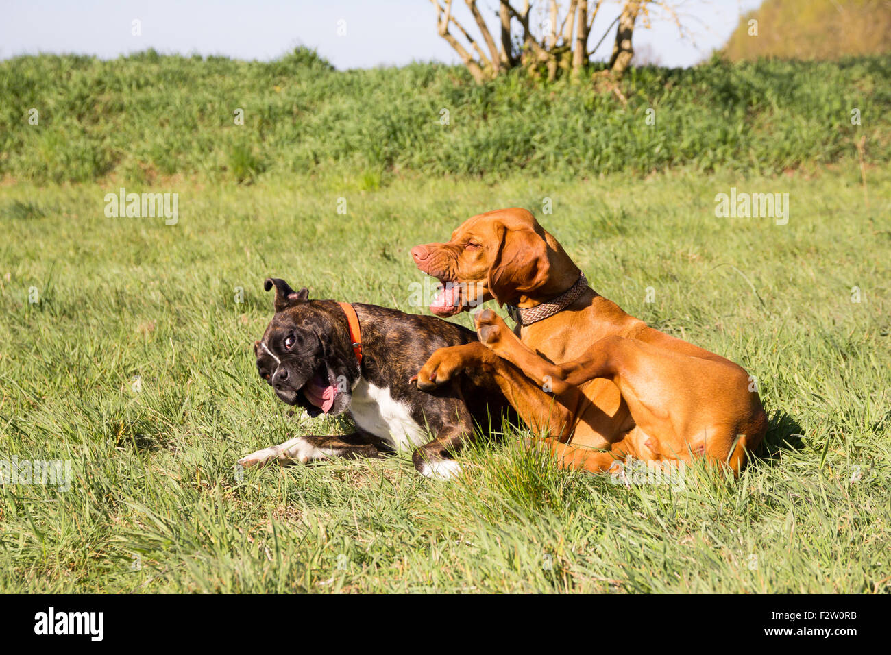 Ma 04 hi-res stock photography and images - Alamy