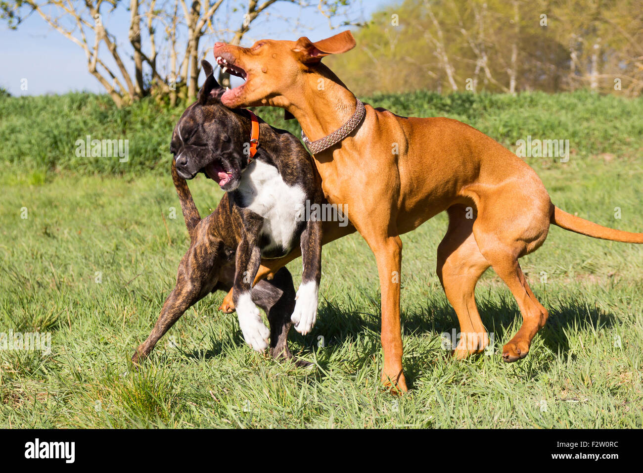 Ma 04 hi-res stock photography and images - Alamy