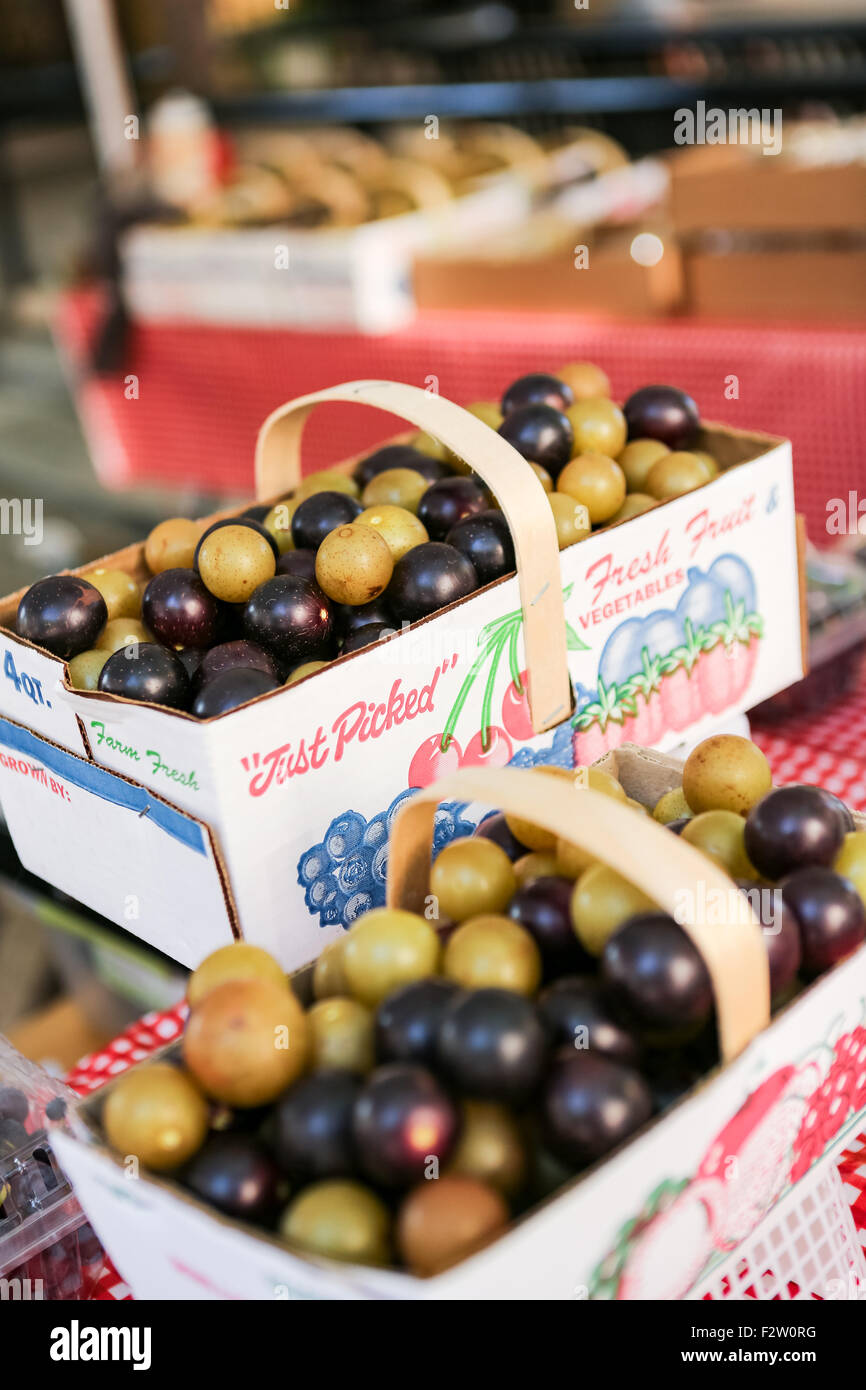 Locally grown muscadine grapes on display at the Farmers Market along ...