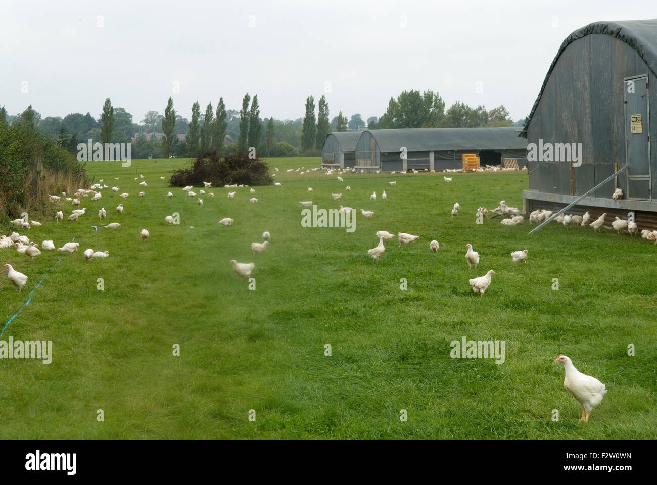 Fosse meadows hi-res stock photography and images - Alamy