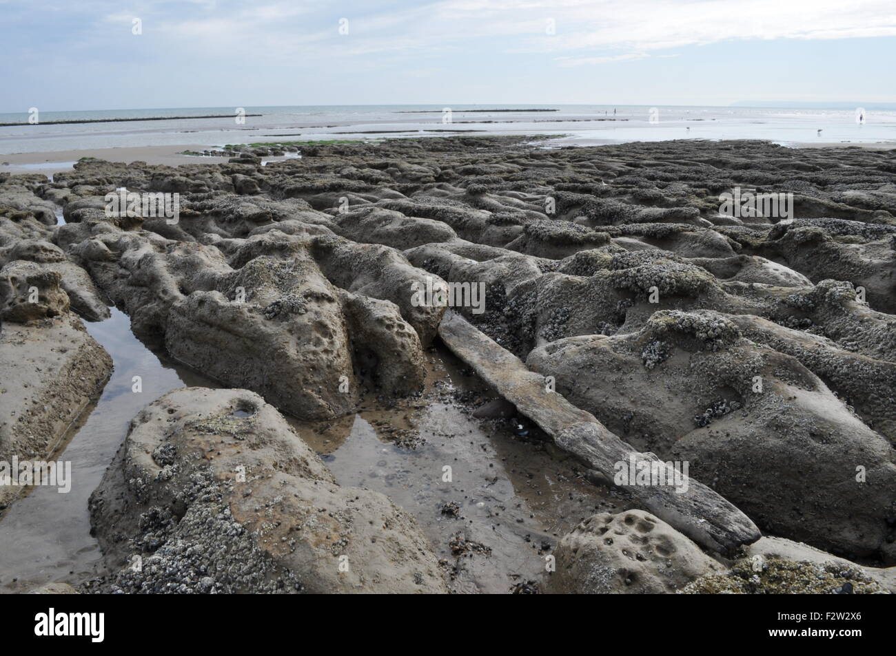 Unusual coastal rock formation Stock Photo - Alamy