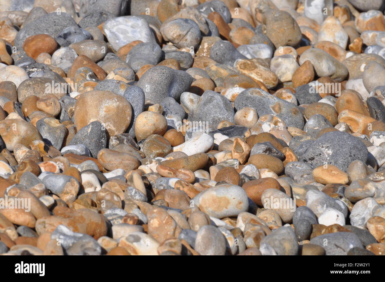 Pebbles on a beach Stock Photo - Alamy