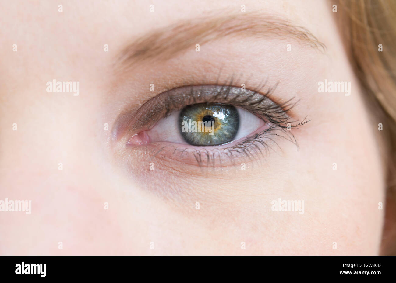 close-up of young womans eye and face blinking abstract MR model ...