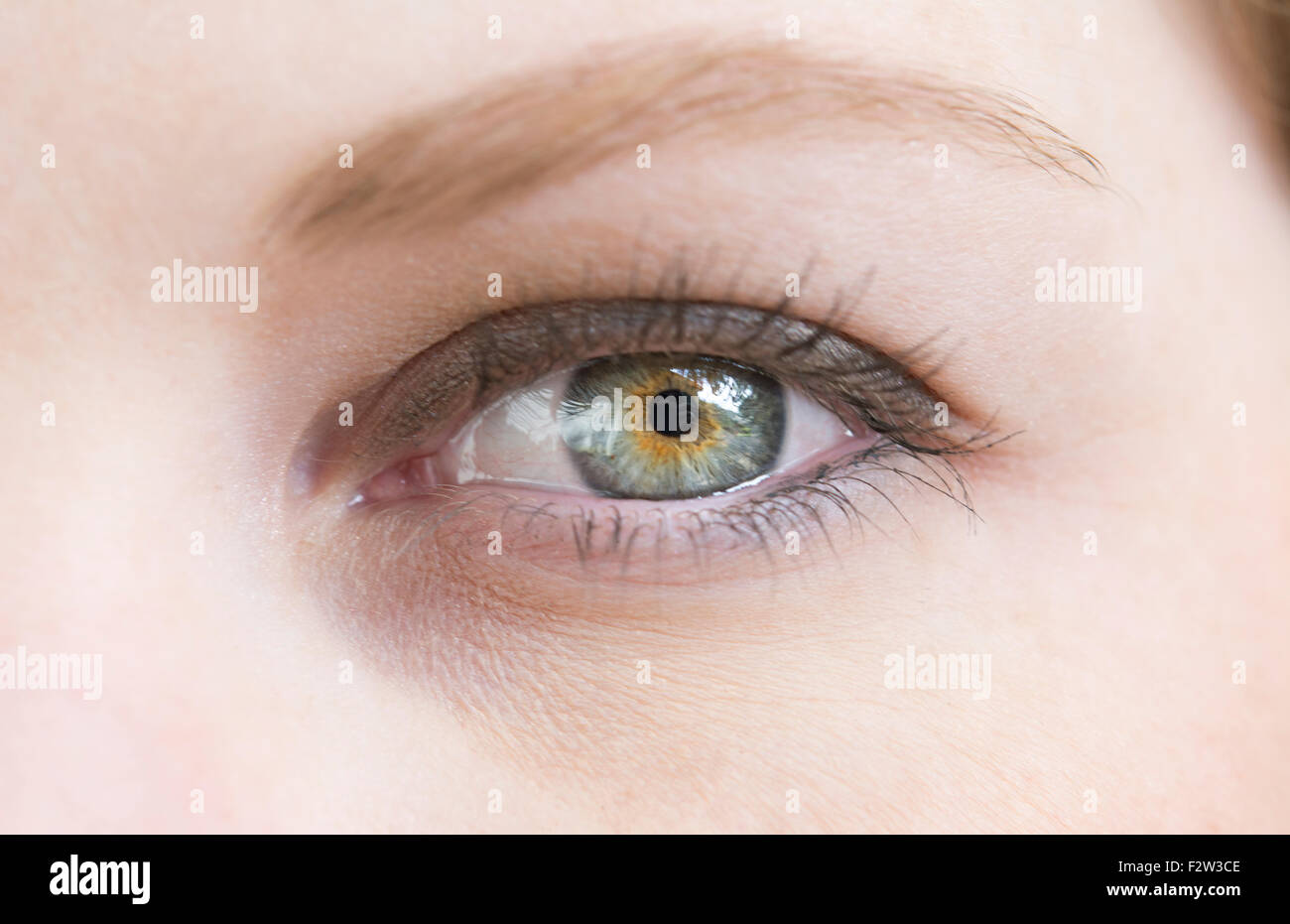 close-up of young womans eye and face blinking abstract MR model ...
