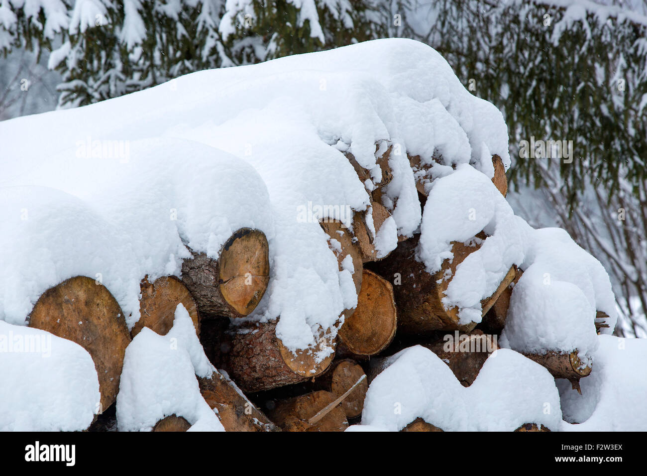 Snow covered stack of wood outside Stock Photo - Alamy