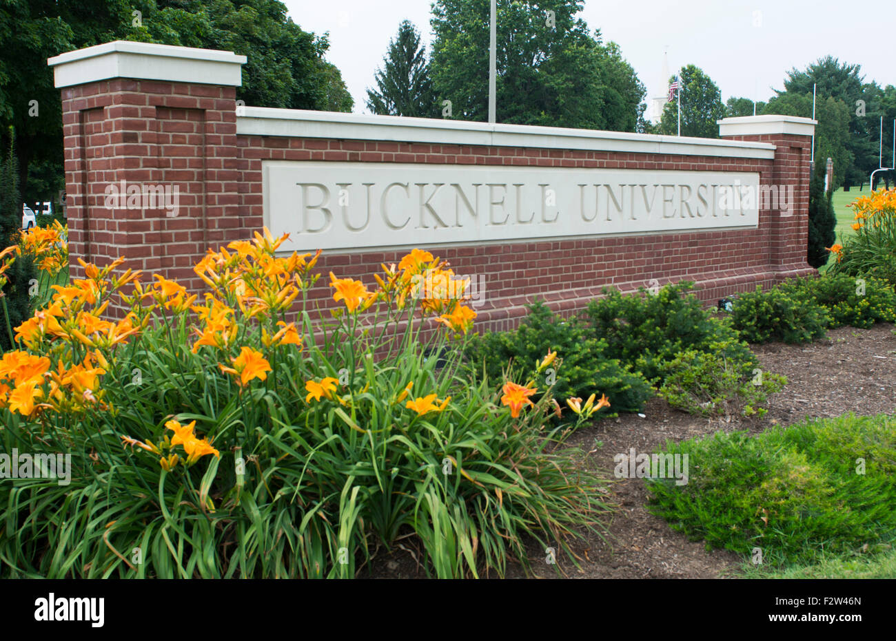 Bucknell University Students
