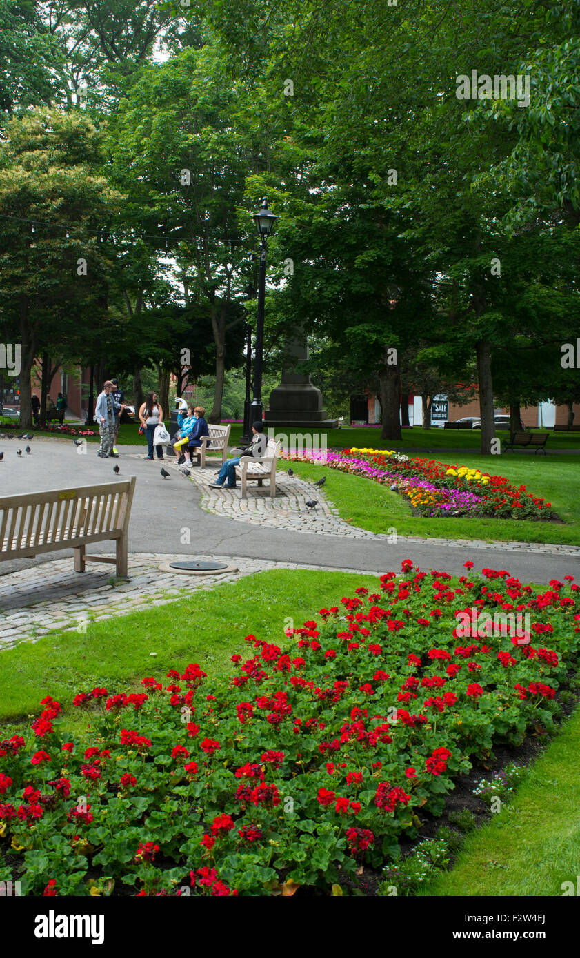 Canada Saint John New Brunswick Kings Square with flowers and relaxing ...