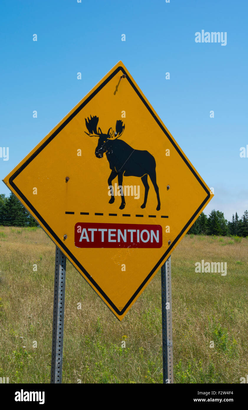 Moose crossing road sign canada hi-res stock photography and images - Alamy
