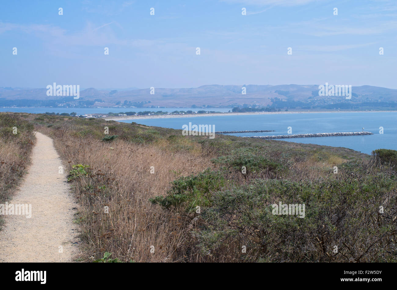 doran regional park at mouth of bodega harbor and bay in sonoma coast ...