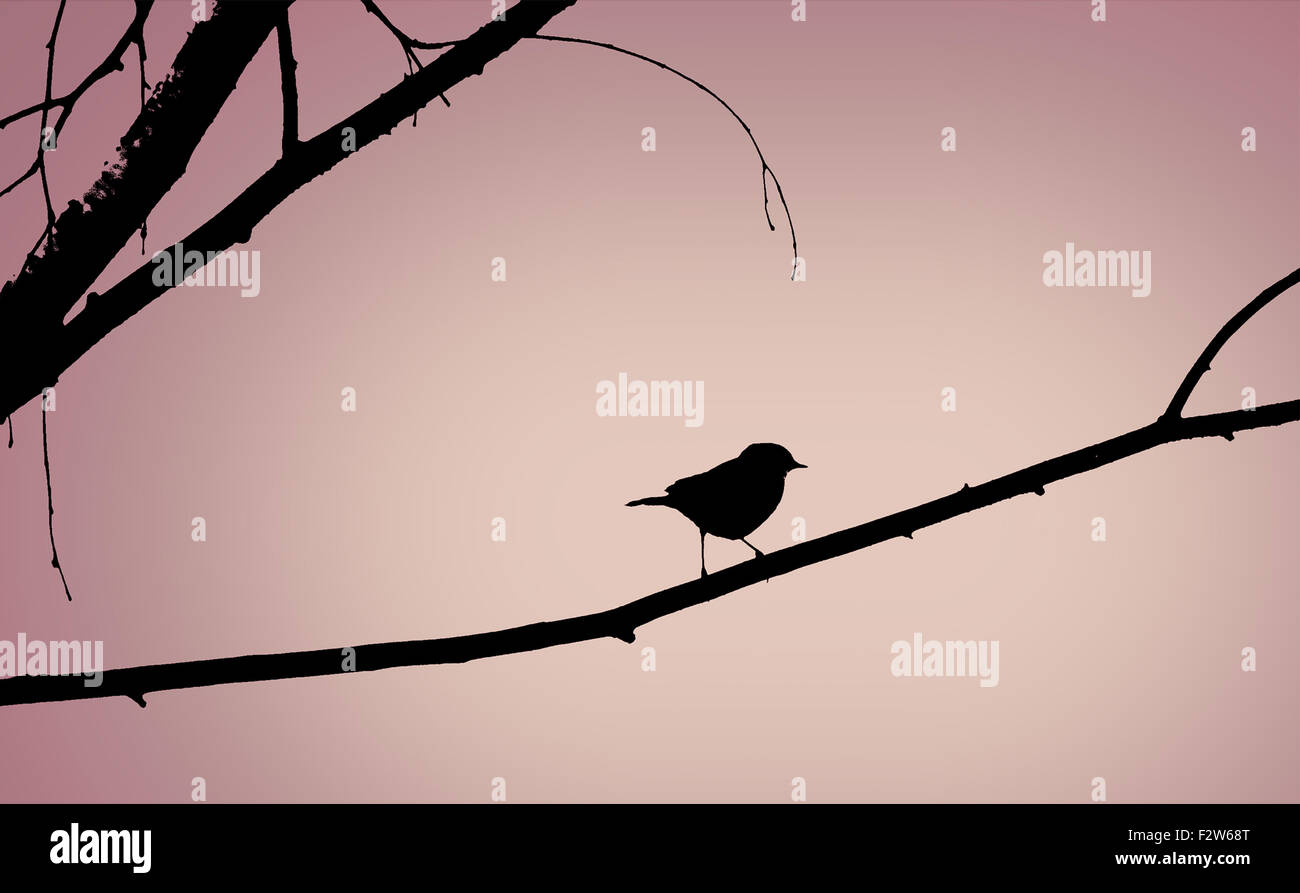 bird on tree Stock Photo - Alamy