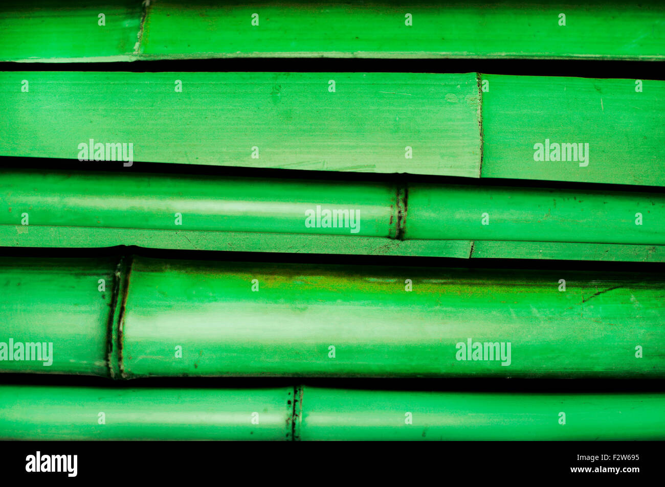 Bamboo liner hi-res stock photography and images - Alamy