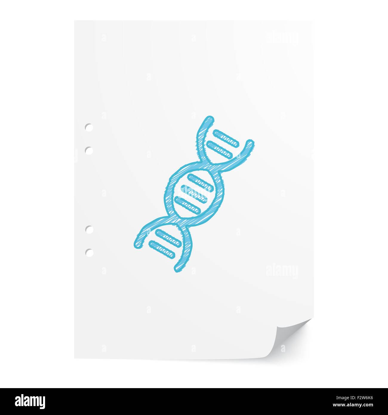 Blue handdrawn Dna illustration on white paper sheet with copy space ...