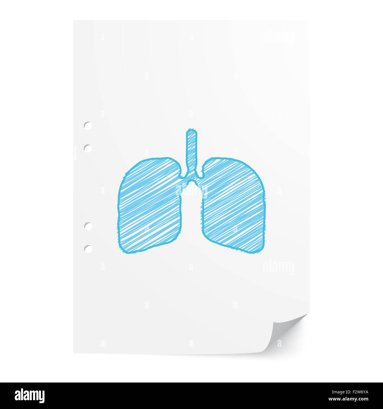 Blue handdrawn Lungs illustration on white paper sheet with copy space ...