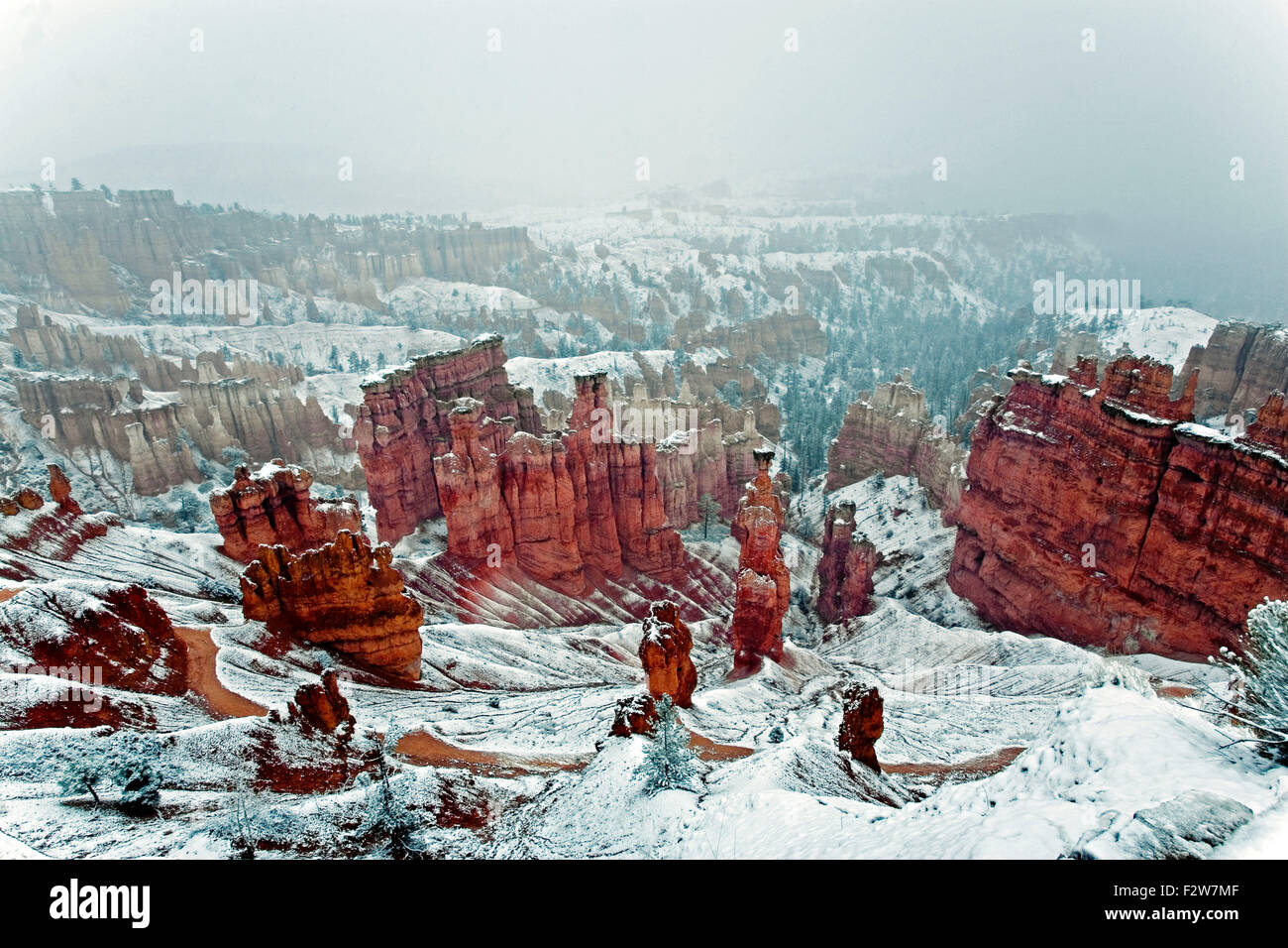 A very cold snowy day in Bryce Canyon Stock Photo - Alamy