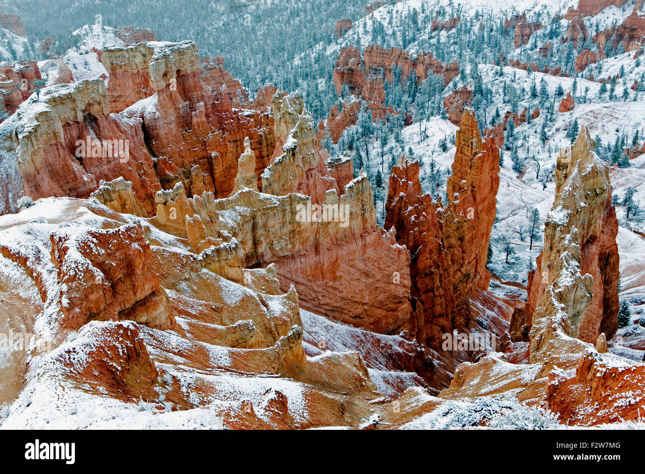 A very cold day in Bryce Canyon Stock Photo - Alamy