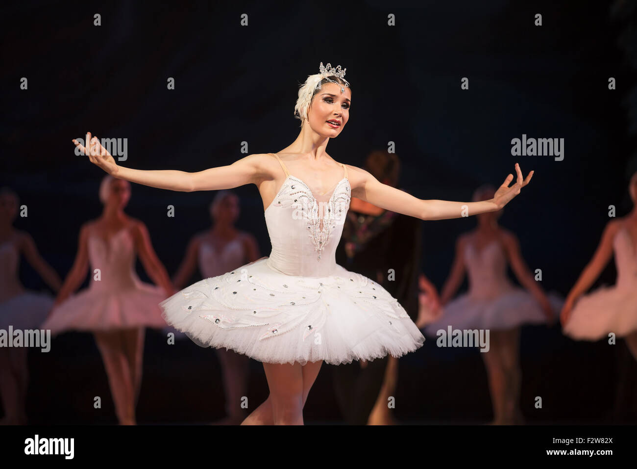 Prima ballerina white swan Stock Photo - Alamy