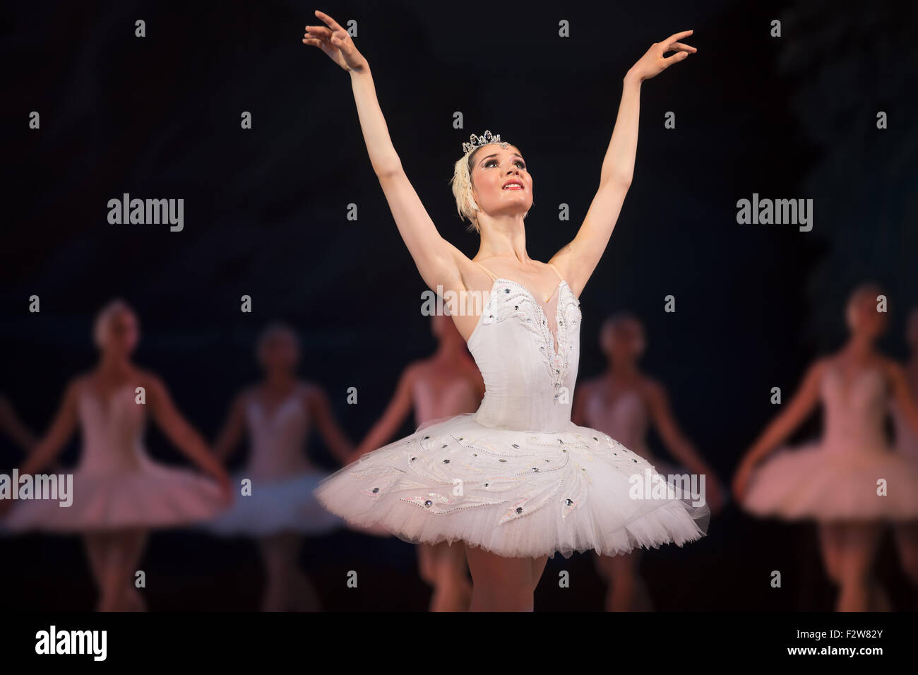Prima ballerina white swan Stock Photo - Alamy