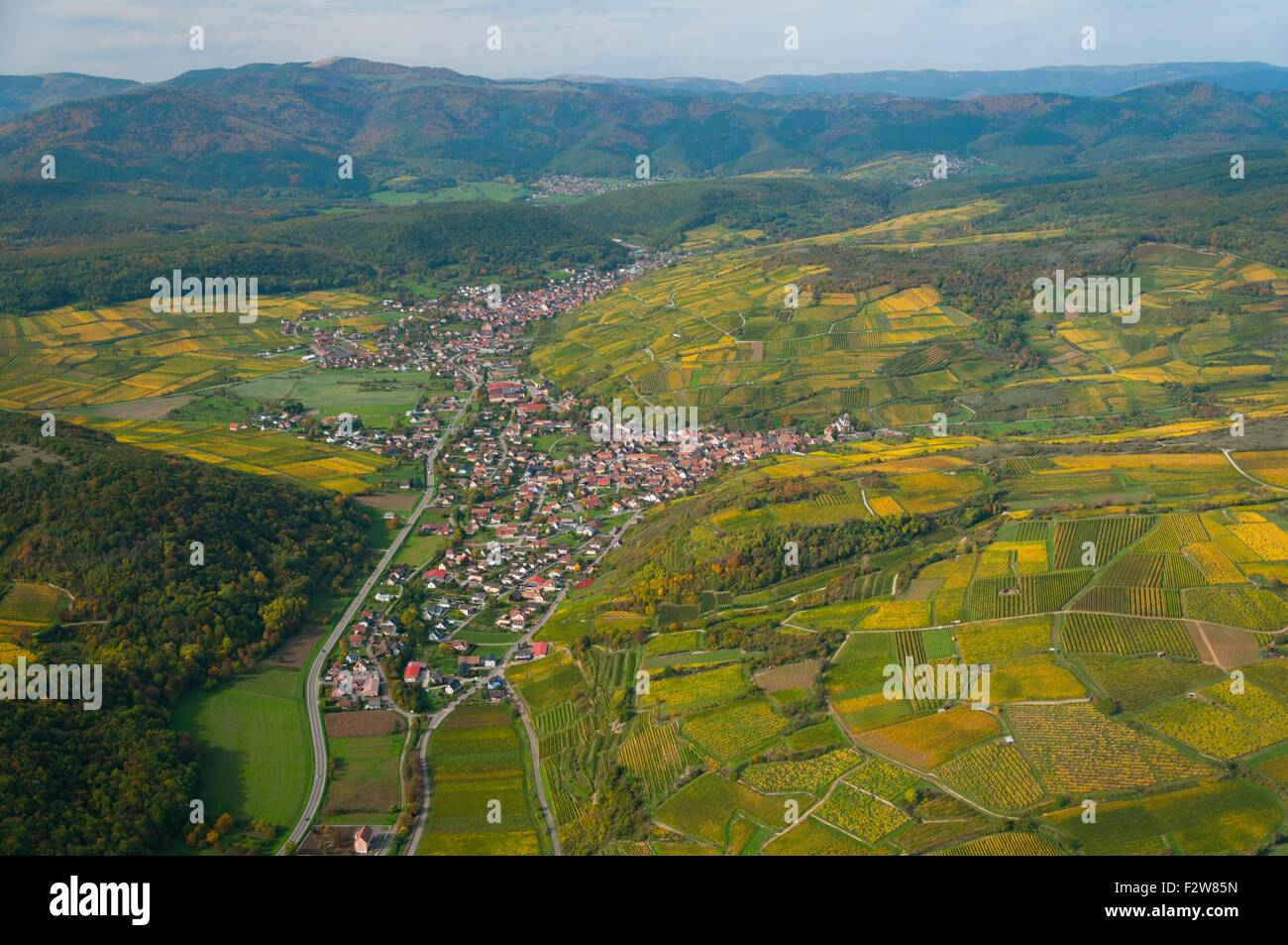 France, Haut Rhin (68), Wines road, village of Westhalten, vineyards in ...