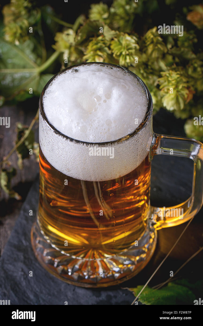 Mug of lager beer Stock Photo - Alamy