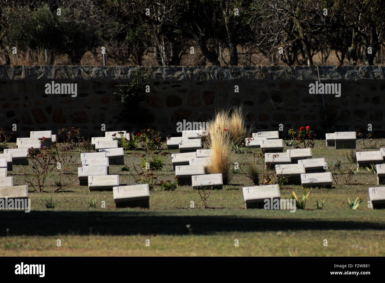 Greek army world war i hi-res stock photography and images - Alamy