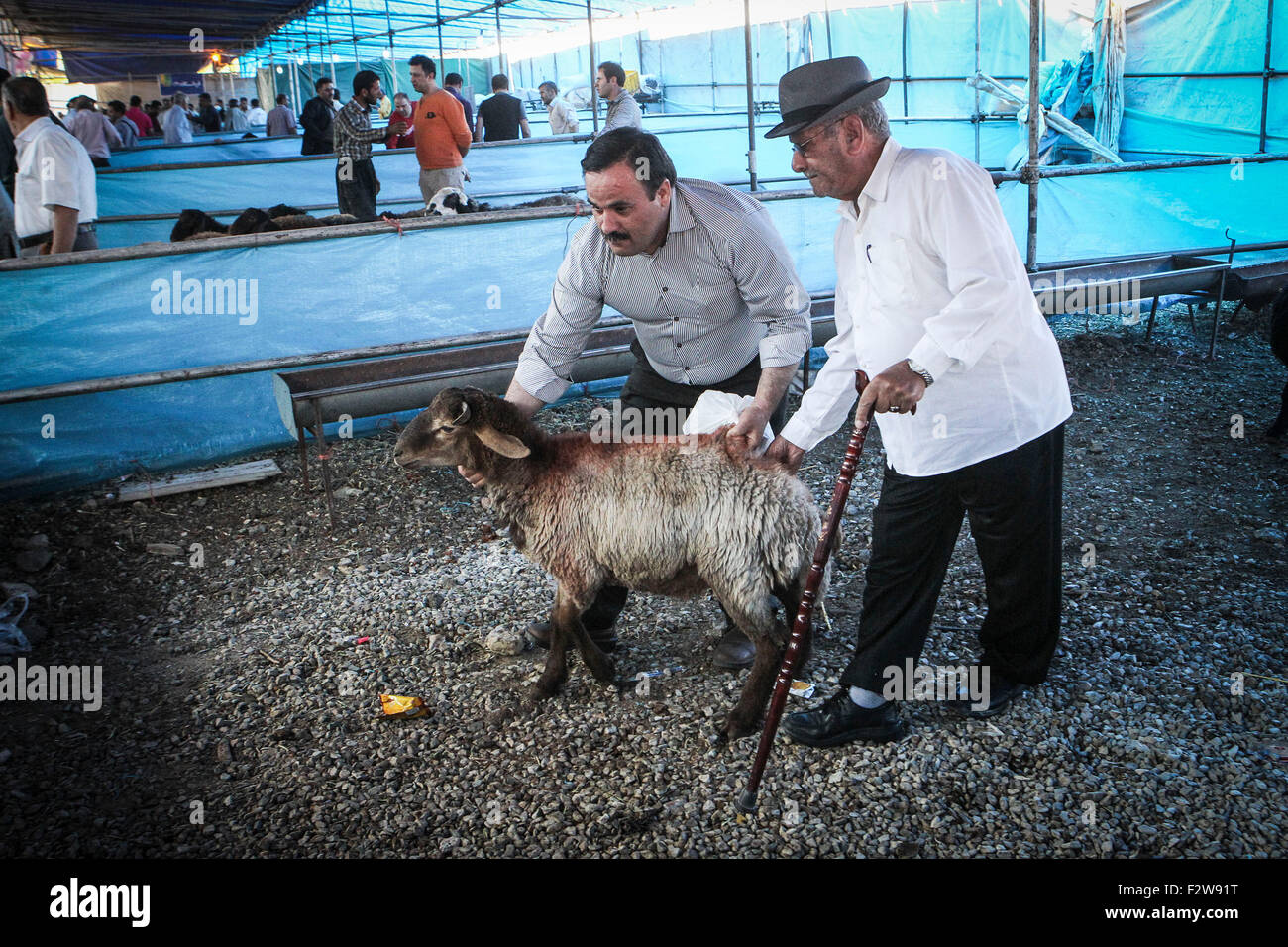 Hajj festival hi-res stock photography and images - Alamy