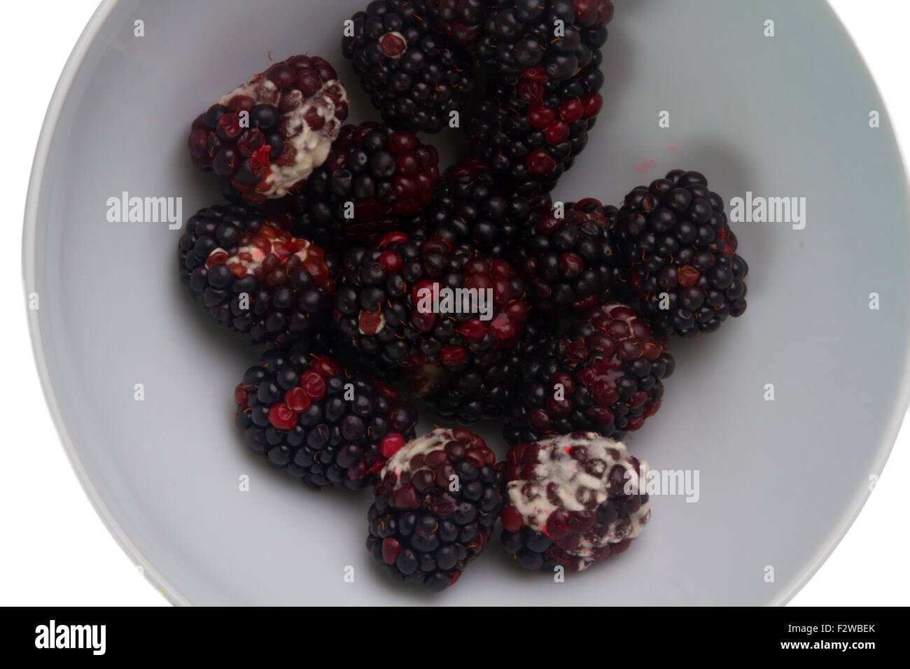 Mould fruit hi-res stock photography and images - Alamy