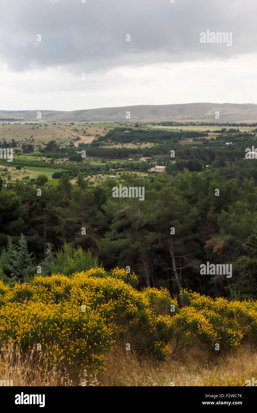 Panorama of Apulian countryside, Italy Stock Photo - Alamy