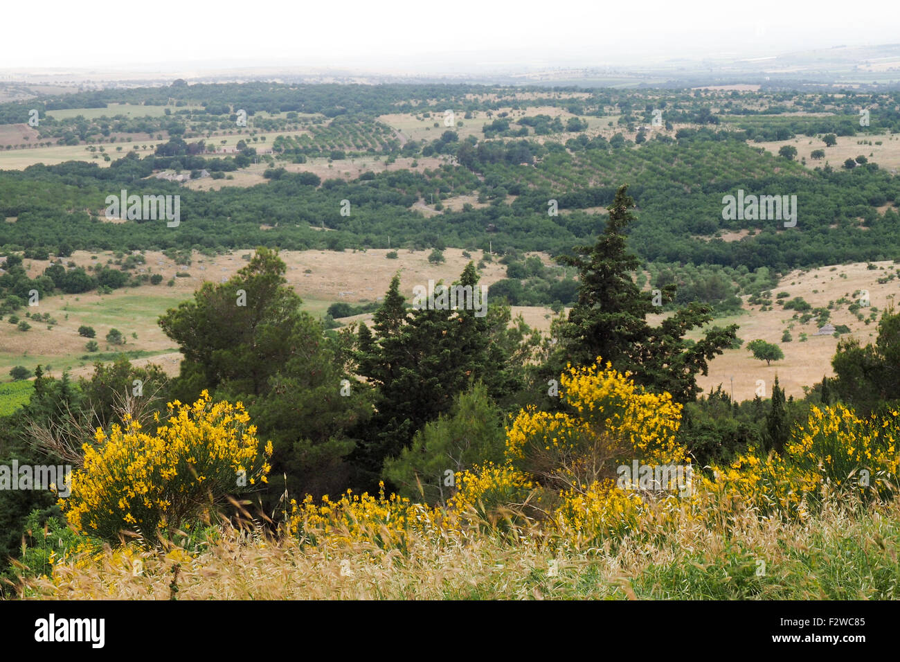 Panorama of italian fields hi-res stock photography and images - Alamy