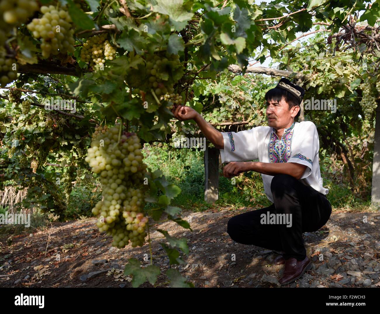 Earnings estimates hi-res stock photography and images - Alamy