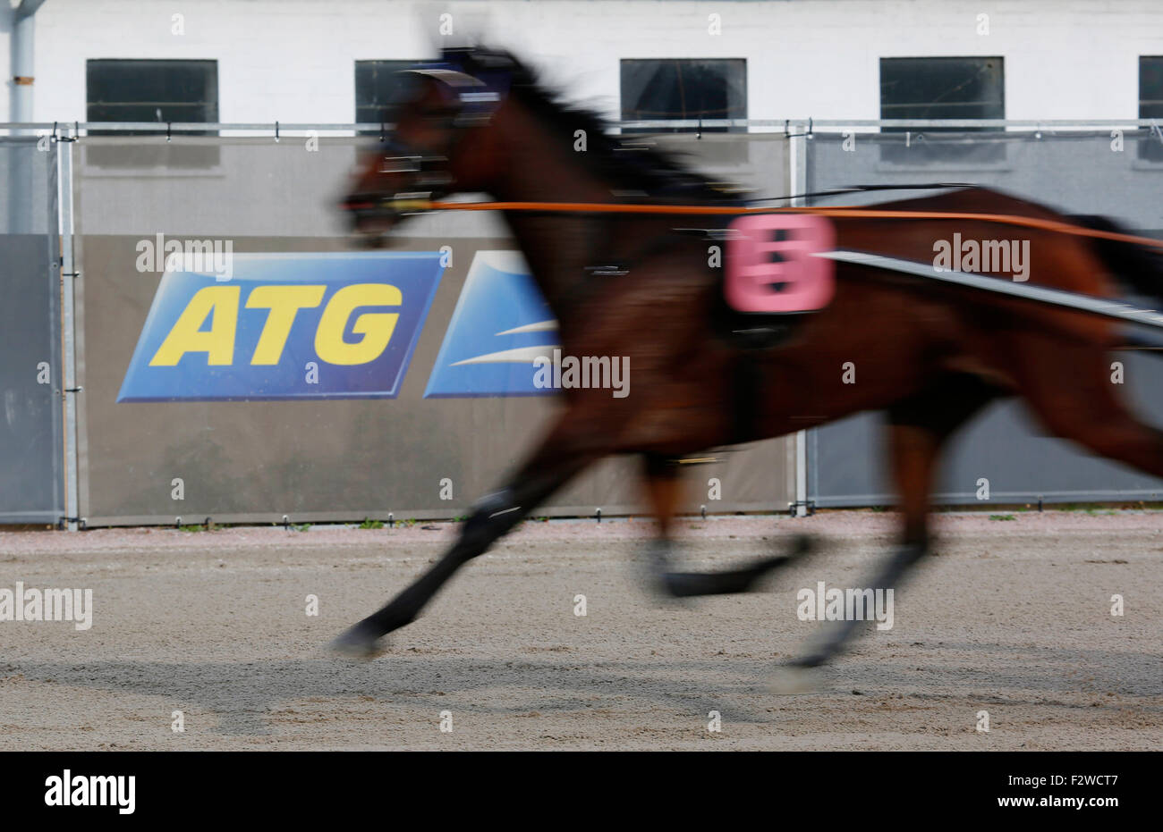 Atg symbol hi-res stock photography and images - Alamy