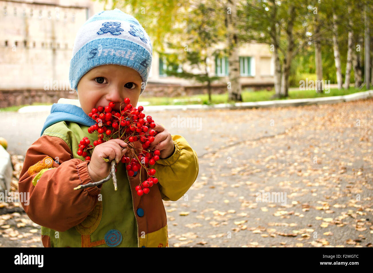 Boy eating berries hi-res stock photography and images - Alamy