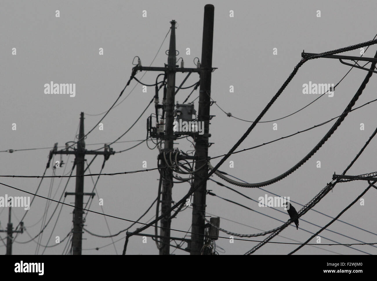 The crow stand hi-res stock photography and images - Alamy