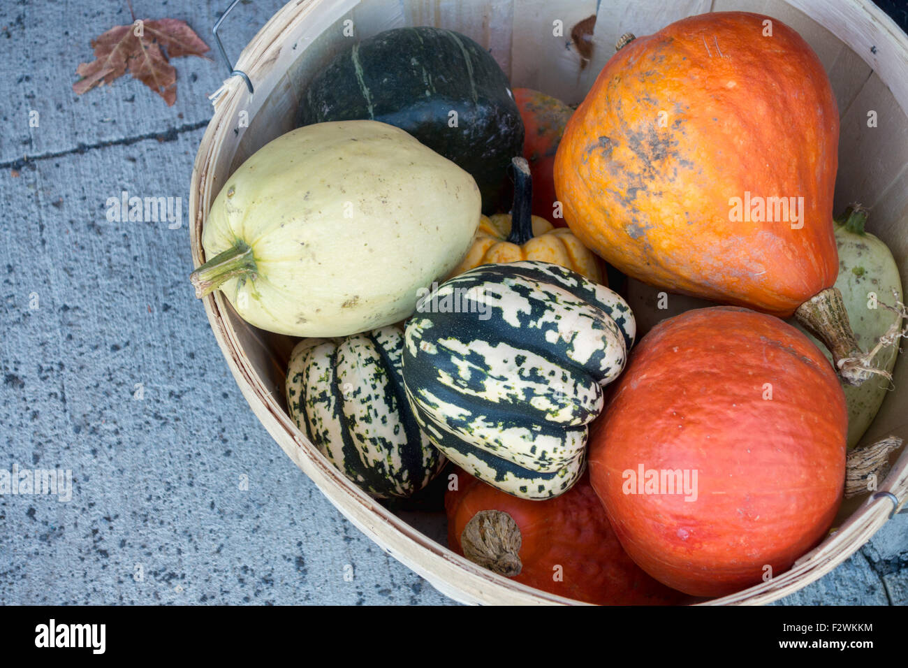 Basket with pumpkins and squashes at the local food market (Sunday ...