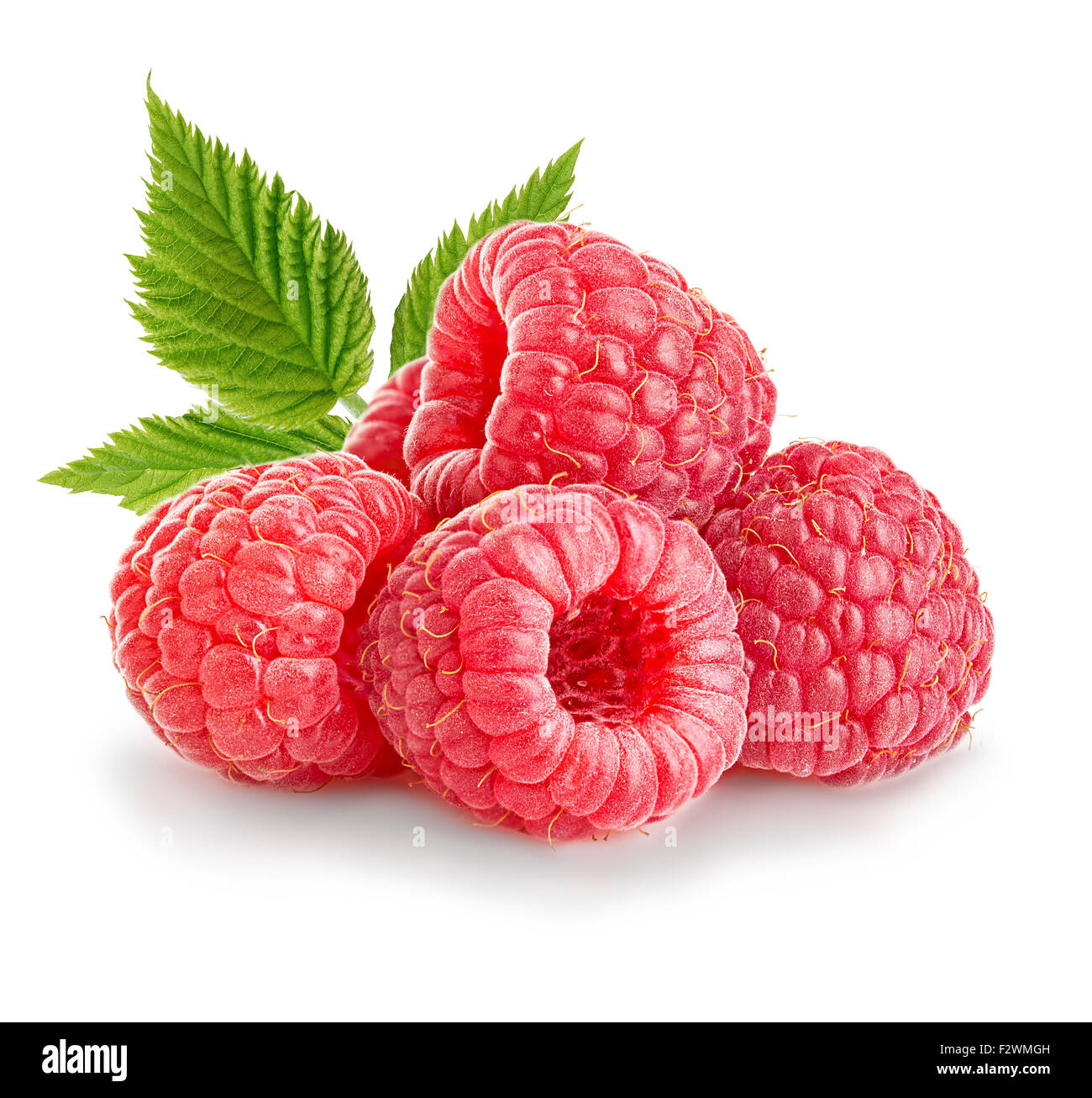 Ripe raspberries with leaves close-up isolated on a white background ...