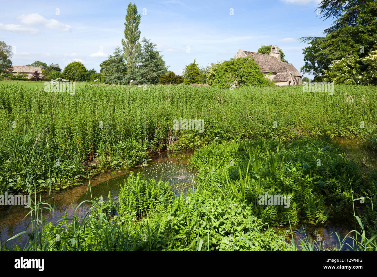 The Ampney Brook flowing past the Norman church of St Mary in the ...