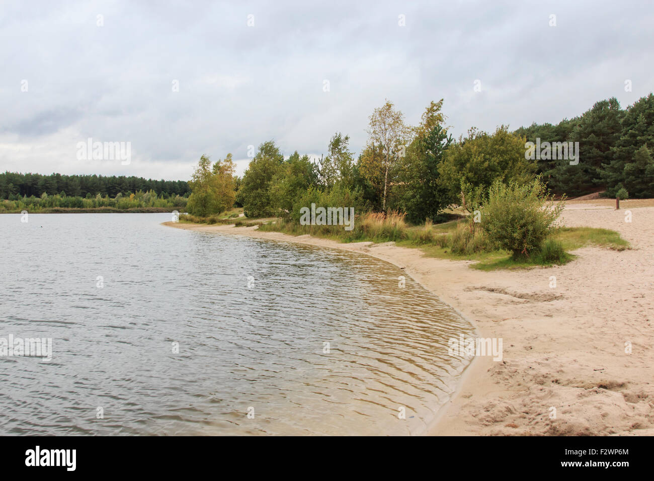 Lommeles Sahara a protected area in North Belgium with a unique small ...