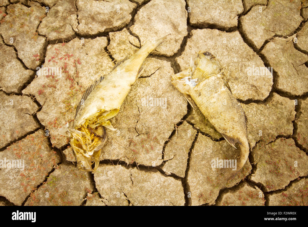 Receded surface hi-res stock photography and images - Alamy
