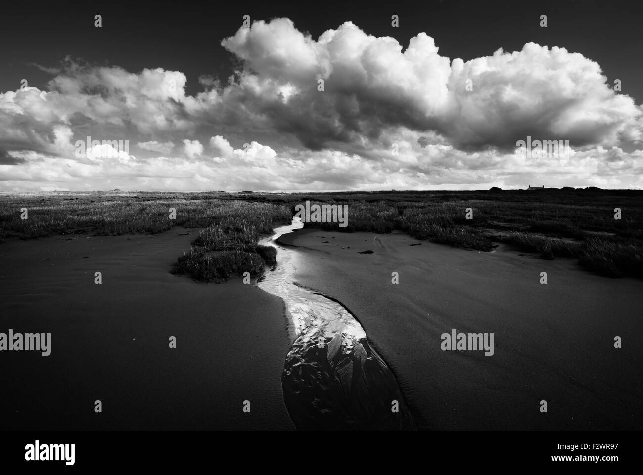 Coastal marshes hi-res stock photography and images - Alamy