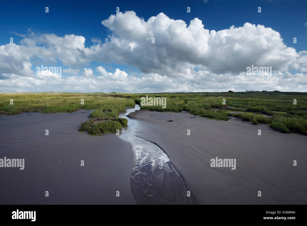 Marshes marsh saltmarsh hi-res stock photography and images - Alamy