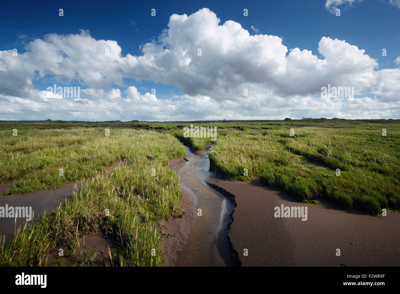 Coastal marshes near Steart Point. Steart Marshes. Somerset. UK Stock ...