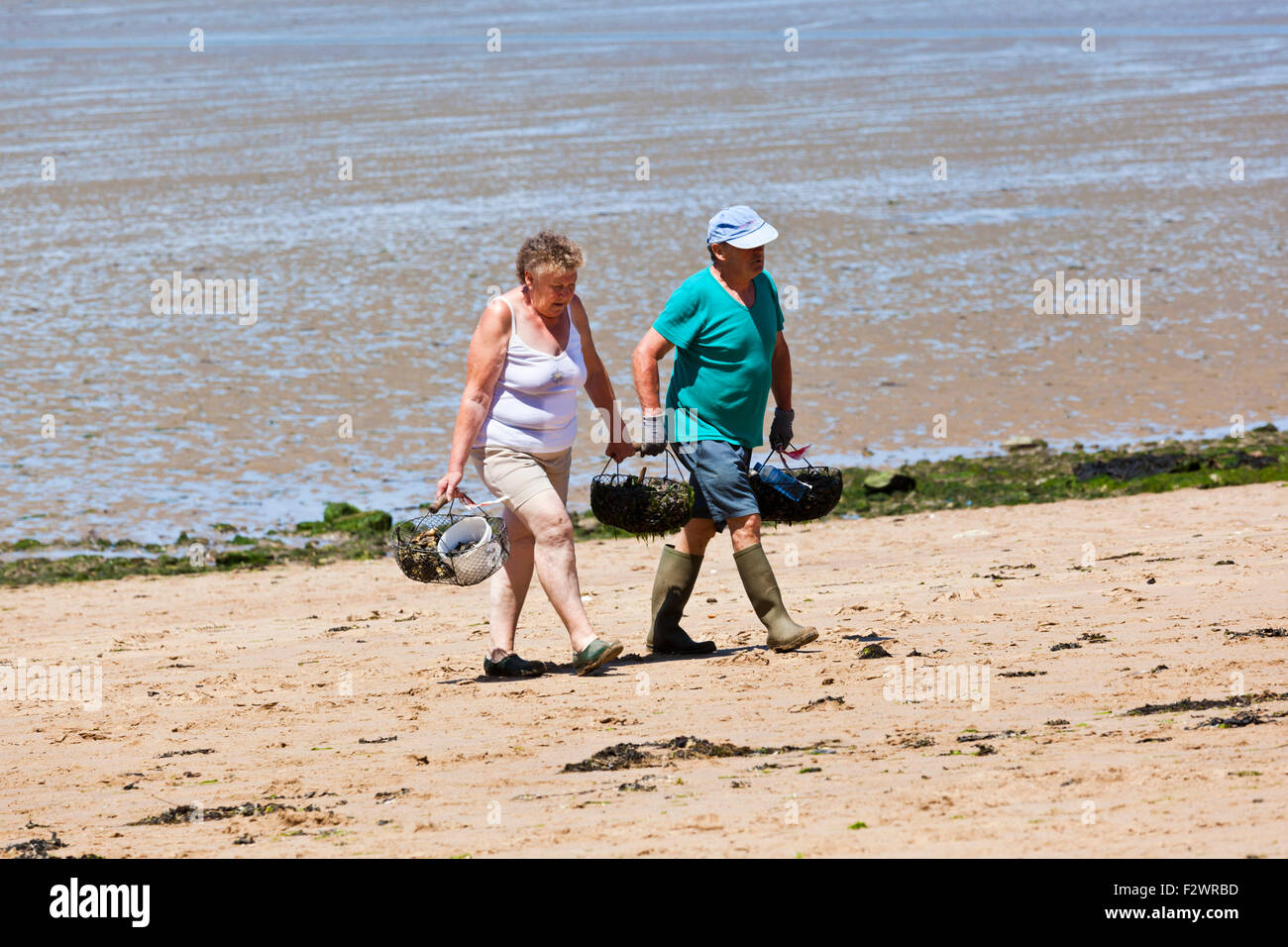A couple collecting shellfish on the beach at Baie de Pen-Bé, Loire ...