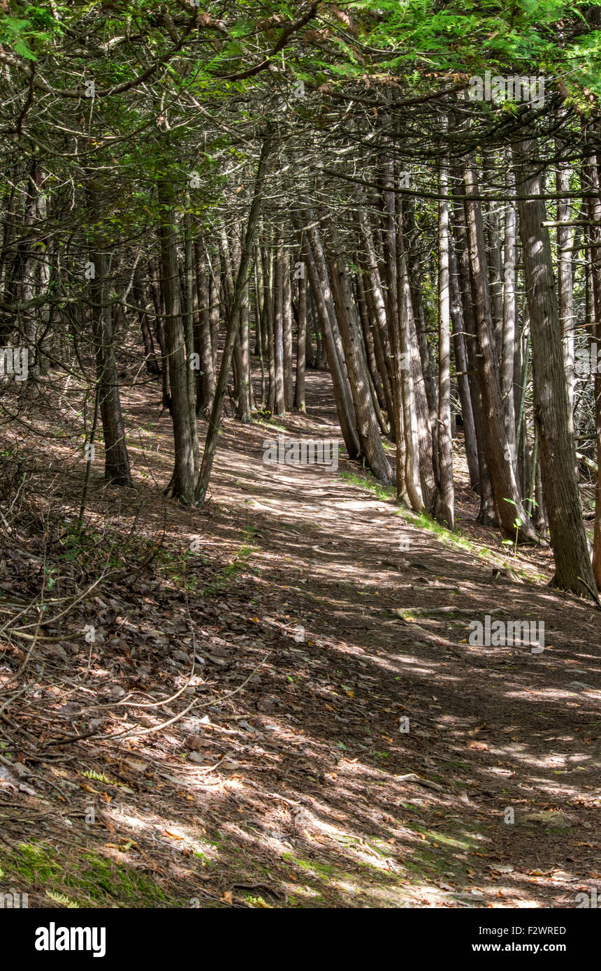 The beautiful Point Au Roche State Park in Upstate NY Stock Photo - Alamy