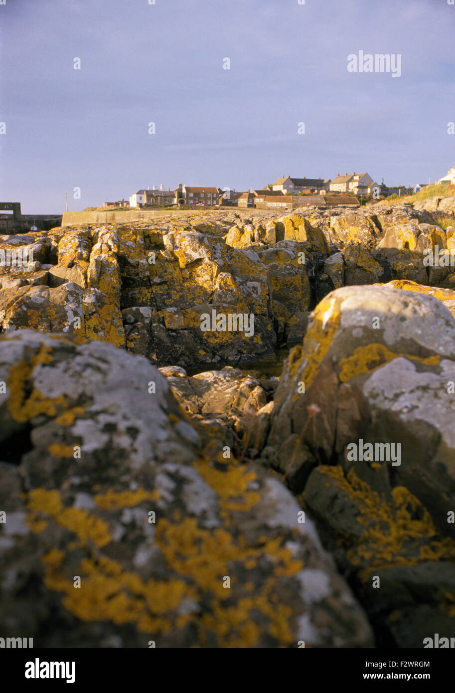Lichen covered rocks and cliffs below coastal village Stock Photo - Alamy