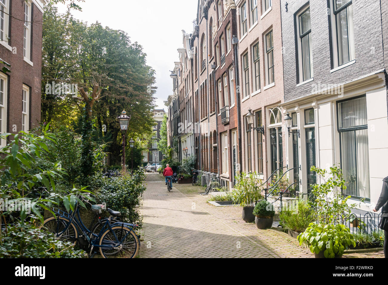 A woman rides a bike down a pretty Dutch street in Amsterdam Stock ...
